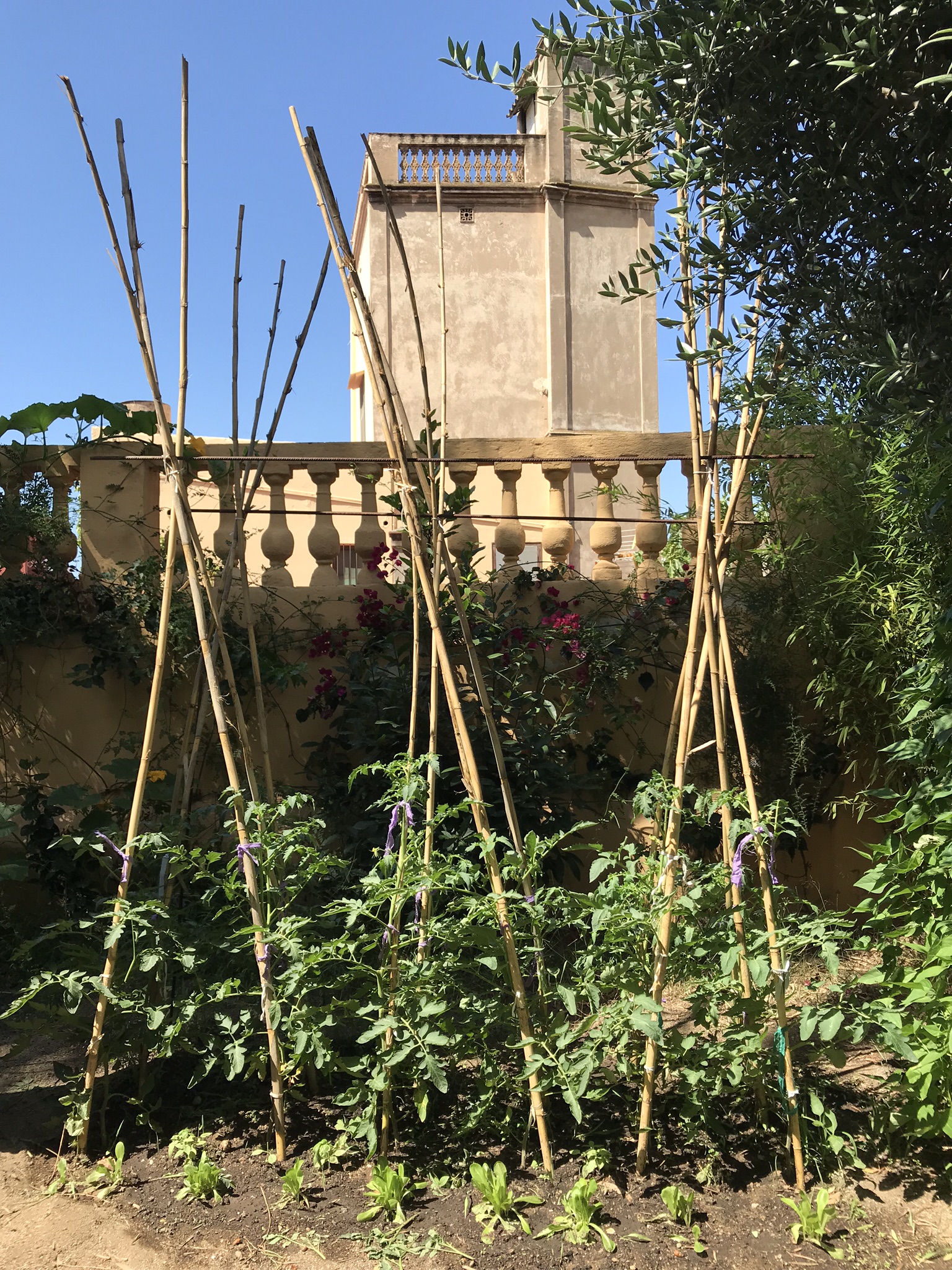 Horts Urbans – Observatori d’agricultura urbana